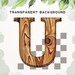 Wooden Letters Clipart: Rustic Wood Grain Alphabet (PNG Digital ...