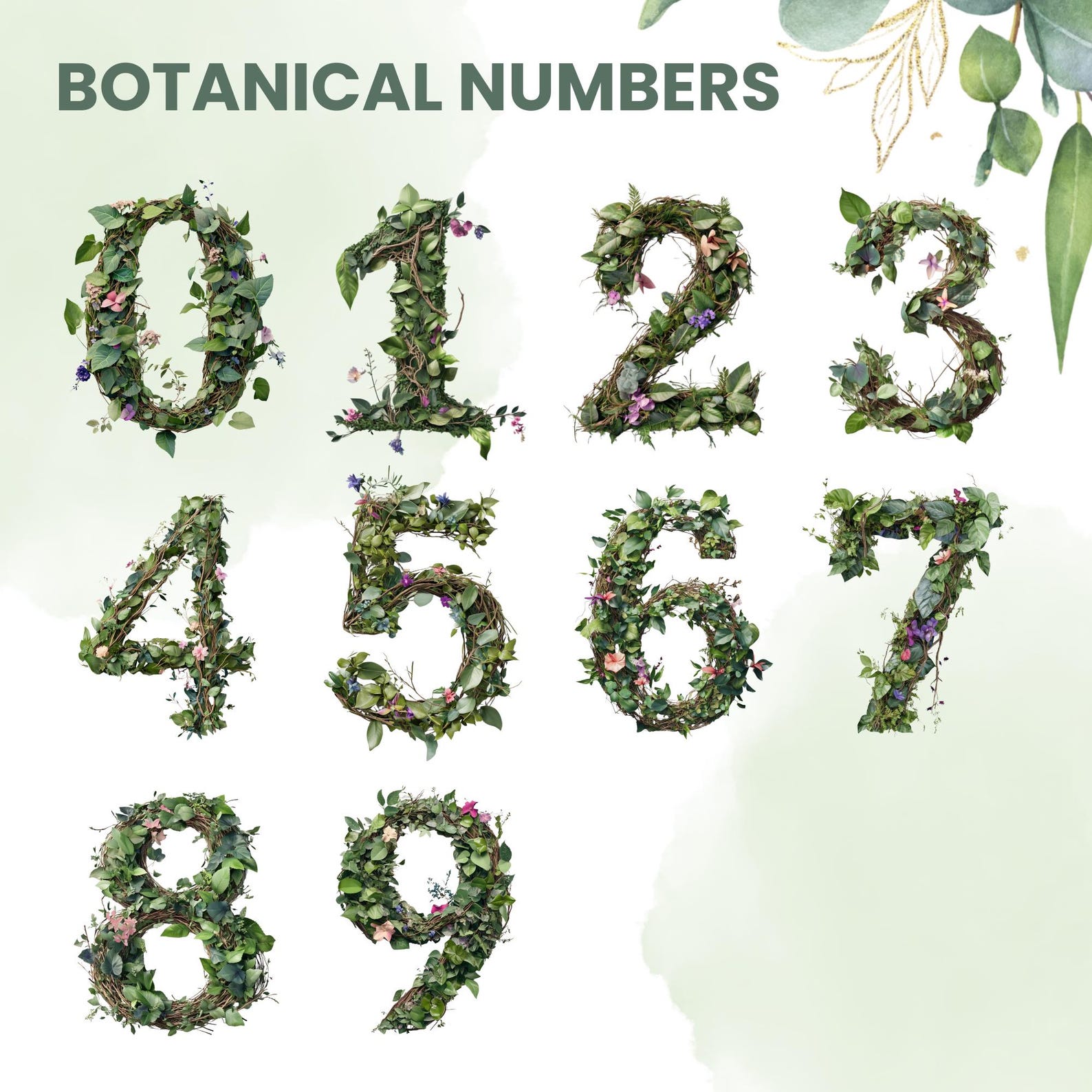 Botanical Vine Alphabet Clipart: Greenery Letters & Numbers PNG ...