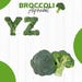 Broccoli Alphabet Clipart: Green Vegetable Font (36 PNG Digital ...