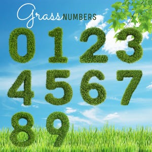 Grass Alphabet Clipart, Green Grass Letters PNG, Eco Nature Font for ...