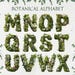 Botanical Alphabet, Floral Letters & Numbers Clipart, Greenery Garden ...