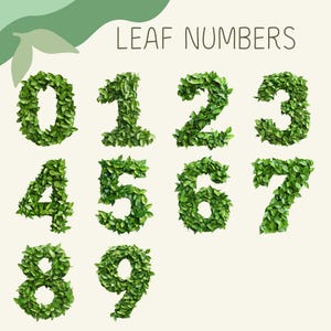 Leaf Alphabet Clipart, Green Leaves Letters 36PNG, Nature Font for ...