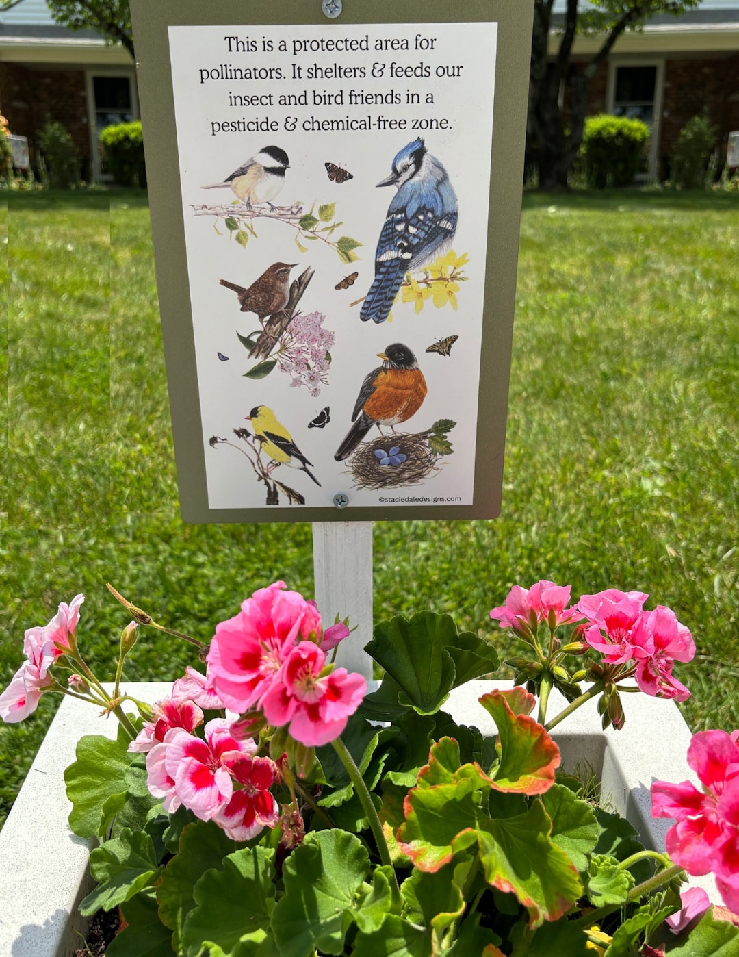 Birds Bees Butterflies Pollinator Habitat Sign, Bird Garden Sign, Bird ...