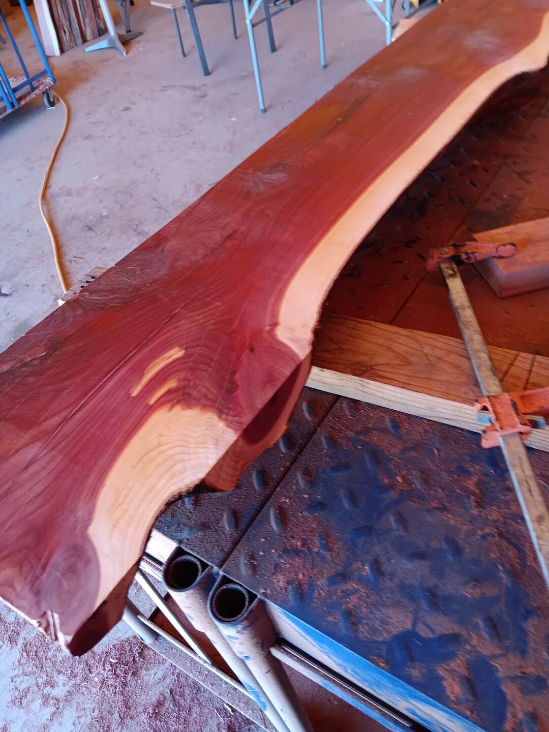 3'' Rustic Single Live Edge Cedar Plank for Furniture, Building ...