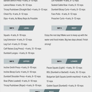 NEW the Complete 12 Week Muscle Building Plan for Beginner's | Gym ...