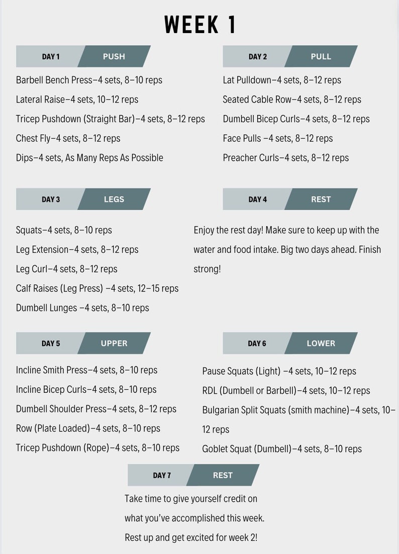 NEW the Complete 12 Week Muscle Building Plan for Beginner's | Gym ...