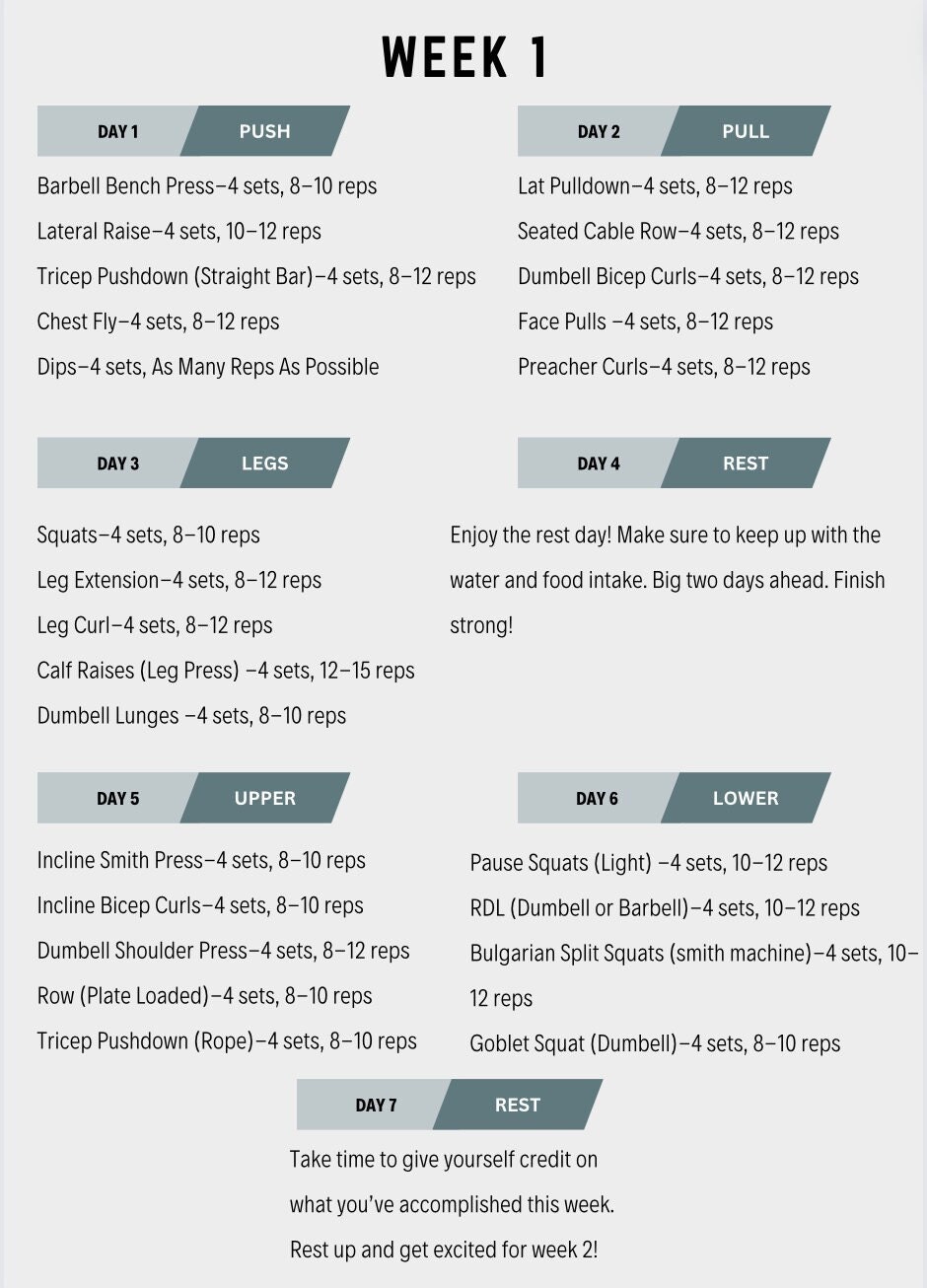 NEW the Complete 12 Week Muscle Building Plan for Beginner's | Gym ...