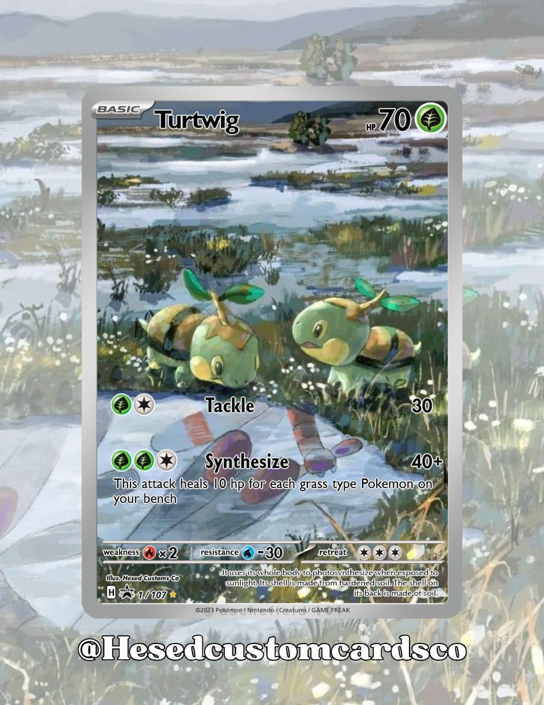 Pokémon Gen 4 Art Collection Turtwig #387 Custom Card *HESED Custom Co ...