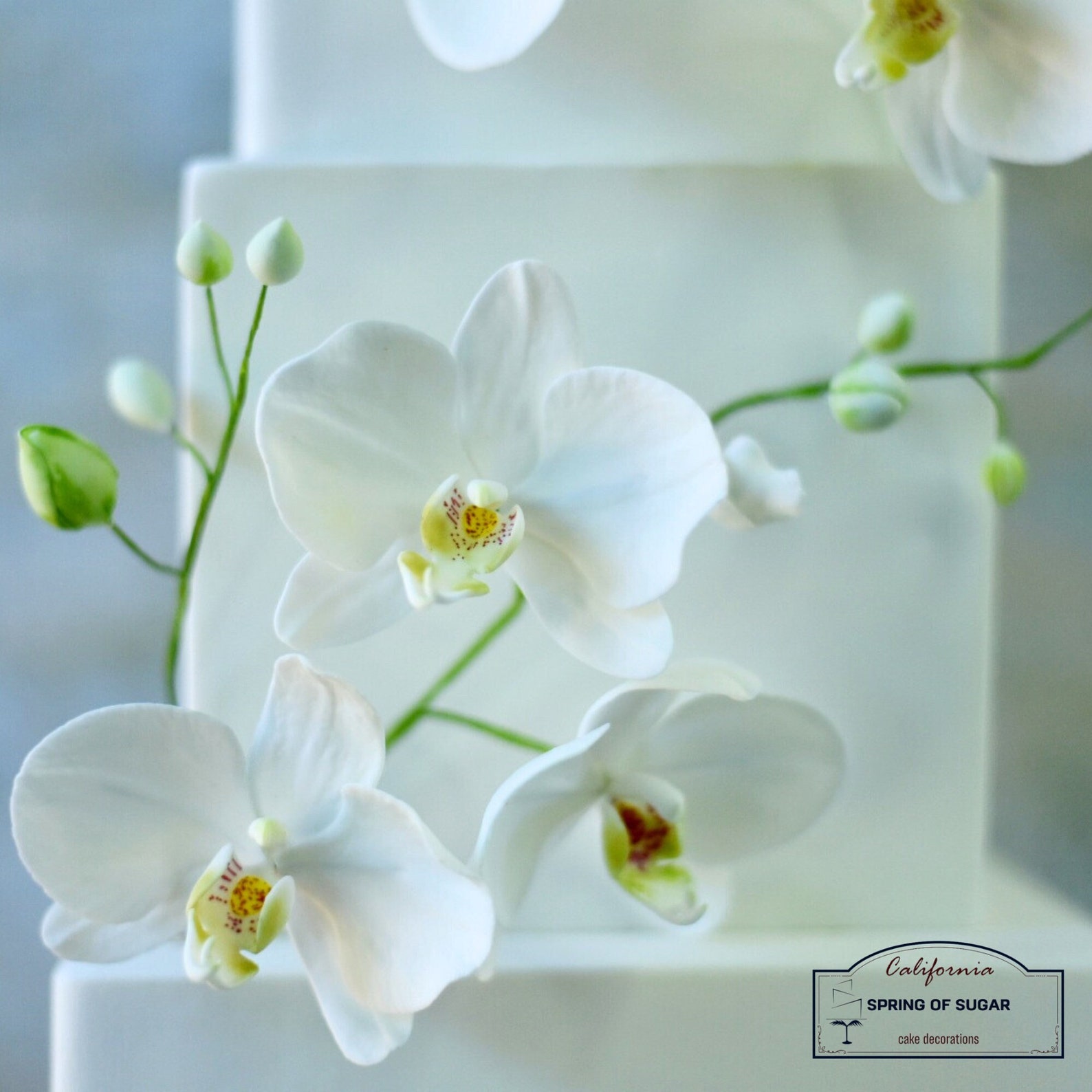 Sugar Flower Cake Toppers Beautiful Artisan Sugar Flowers for Wedding ...
