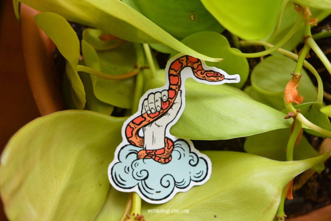 Corn Snake Medieval Woodcut Style Vinyl Sticker - Etsy