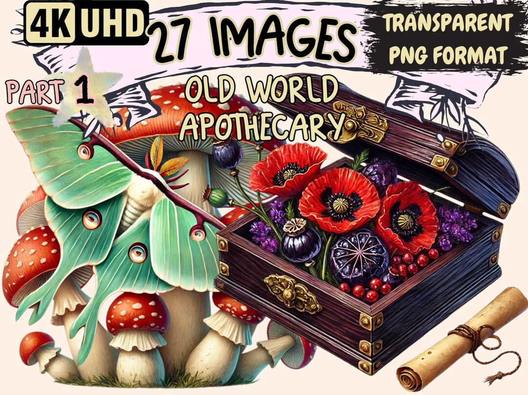 Old World Apothecary Clipart - 27 PNG Vintage Herbalist Illustrations ...