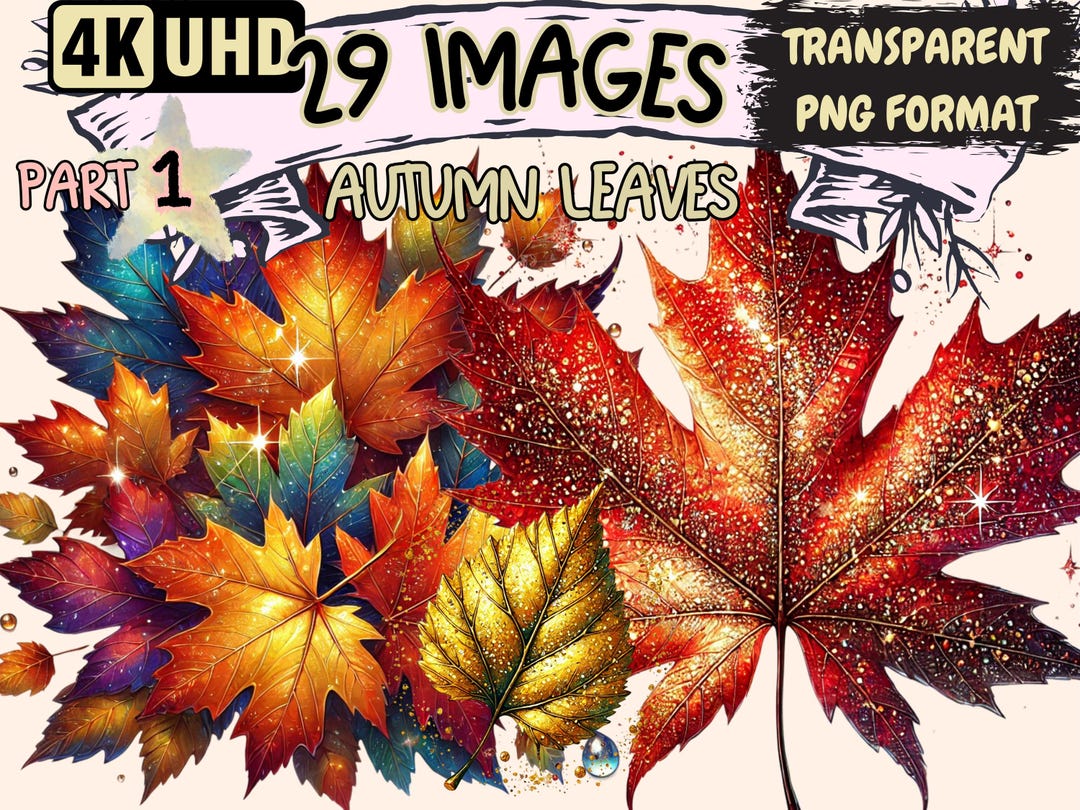 Autumn Leaves Clipart – 29 Fall Foliage PNG Illustrations (digital ...