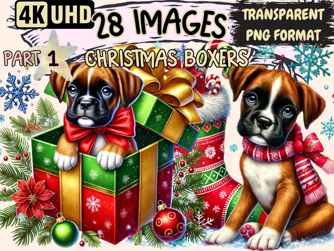 Christmas Boxers Clipart - 28 PNG Festive Dog Illustrations, Holiday ...