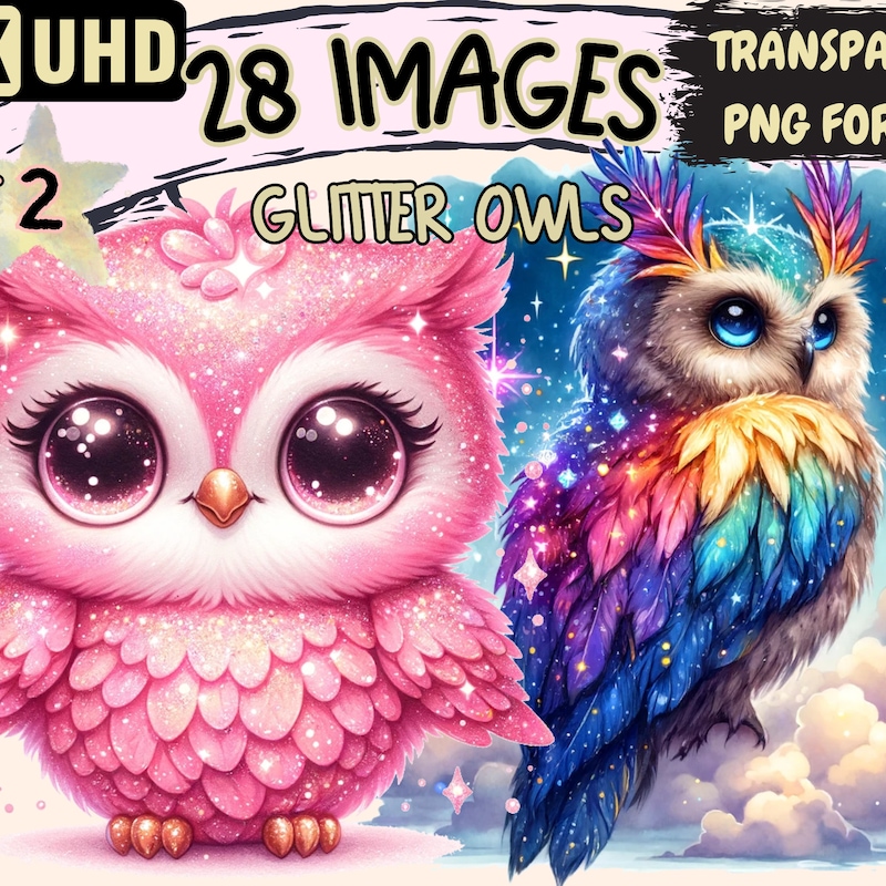 Cute Owl Clip Art - Etsy