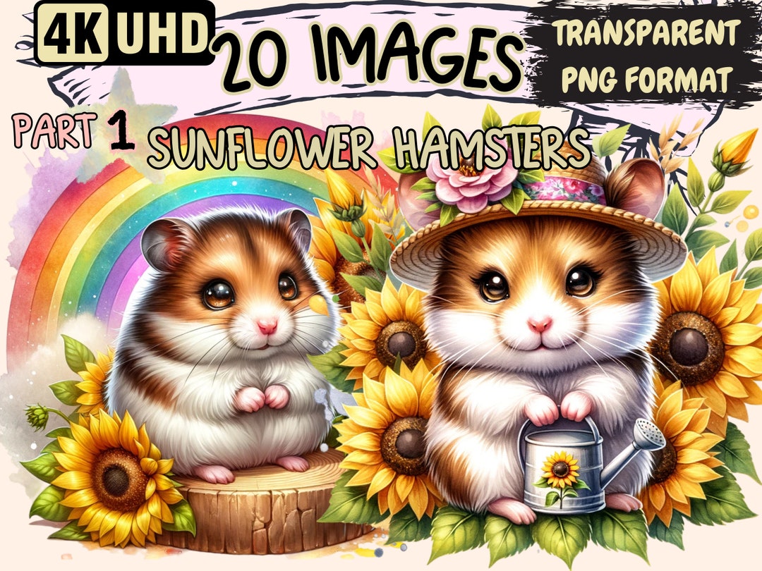 Sunflower Hamsters Clipart - 26 PNG Adorable Hamster Graphics, Cute ...