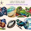 New Zealand Flag Clipart Bundle | Kiwi Art Printables (digital Download ...