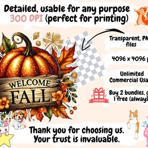Fall Pumpkins Clipart - 20 PNG Autumn Pumpkin Illustrations, Seasonal ...