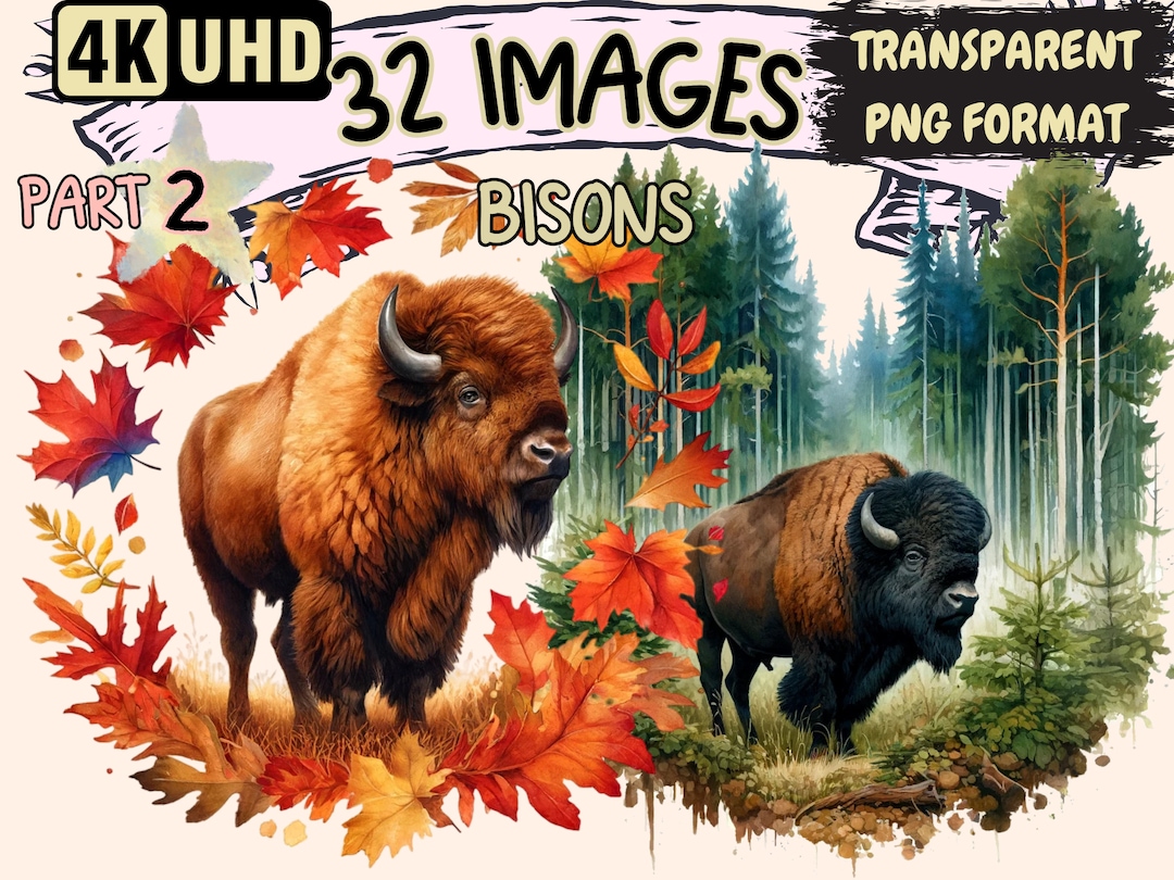 Bisons (P2) Clipart - 32 PNG Majestic Bison Graphics, Wildlife ...