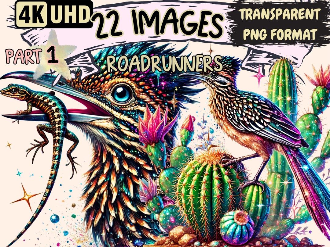 Roadrunners Clipart - 22 PNG Beautiful Bird Illustrations, Wildlife ...