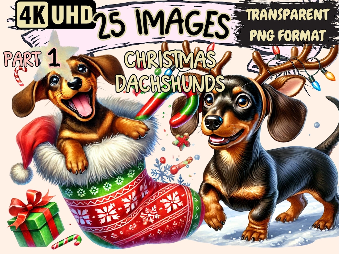 Christmas Dachshunds Clipart - 25 PNG Festive Dog Illustrations ...