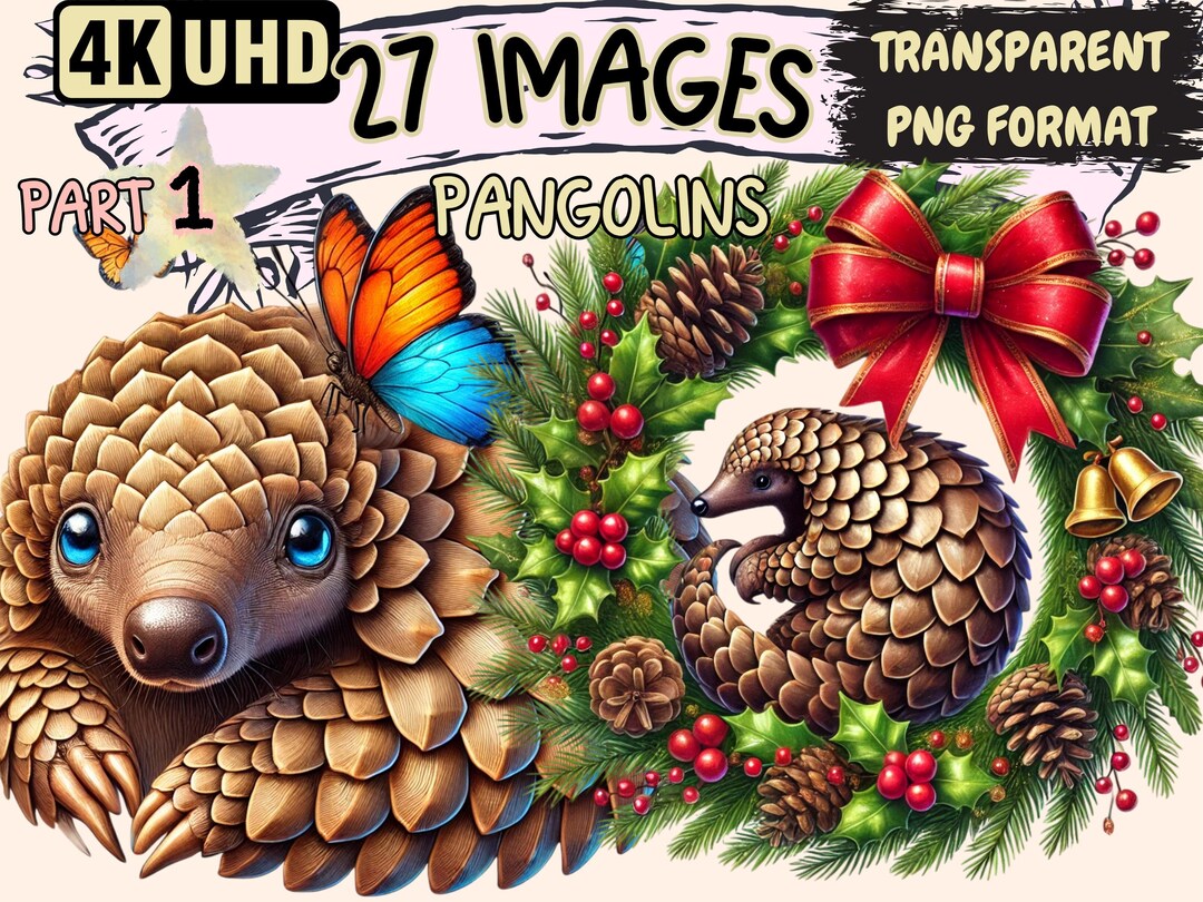 Pangolins Clipart - 27 PNG Cute Pangolin Graphics, Adorable Animal ...