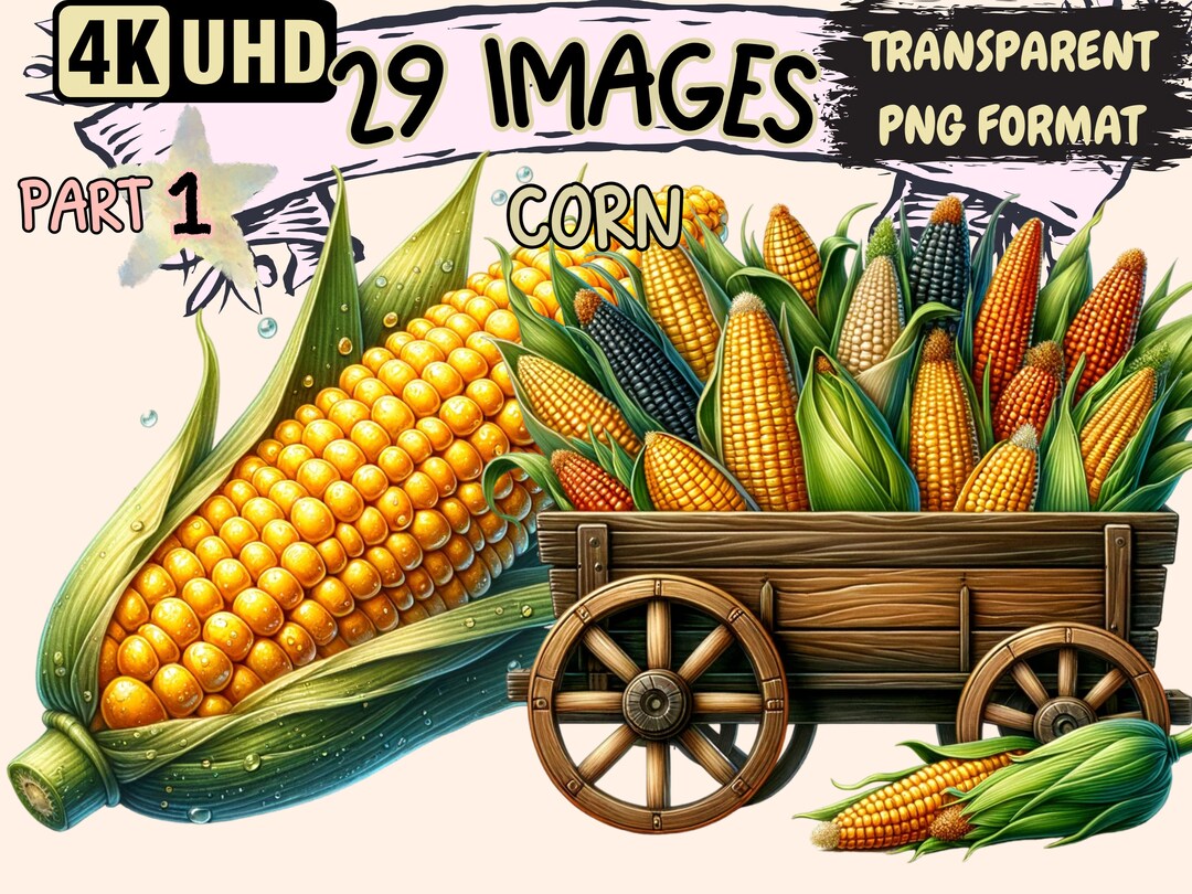 Corn Clipart - 29 PNG Vibrant Corn Graphics, Harvest Printables ...