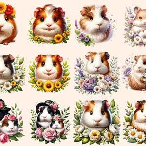 Guinea Pigs Clipart - 31 PNG Adorable Guinea Pig Graphics, Cute ...