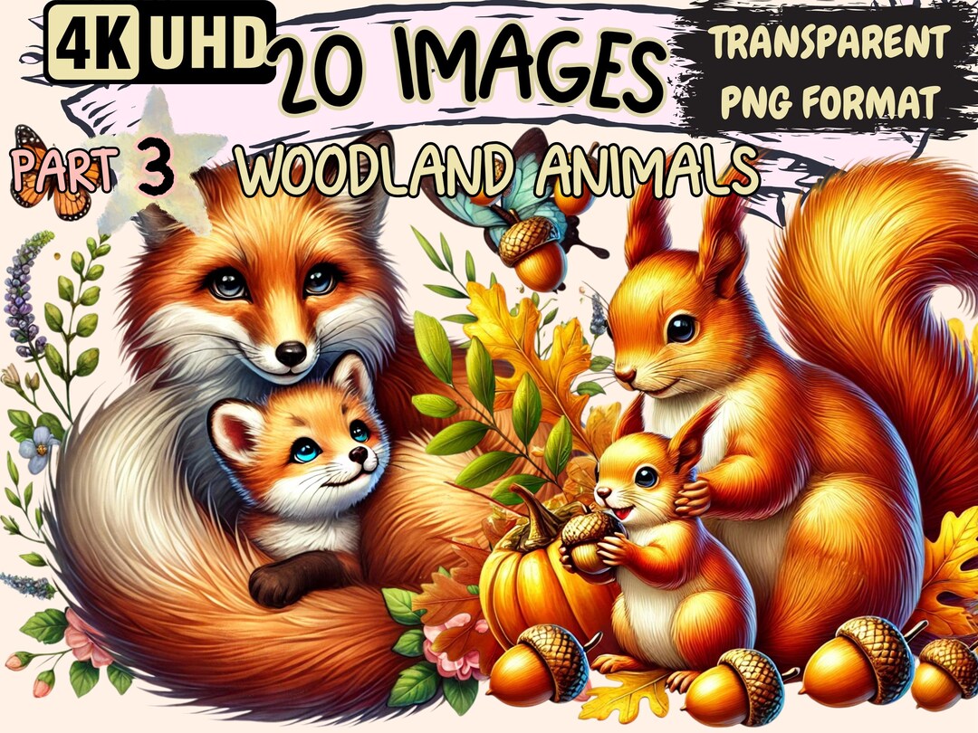 Woodland Animals Clipart – 20 PNG Forest Graphics (digital Download) - Etsy
