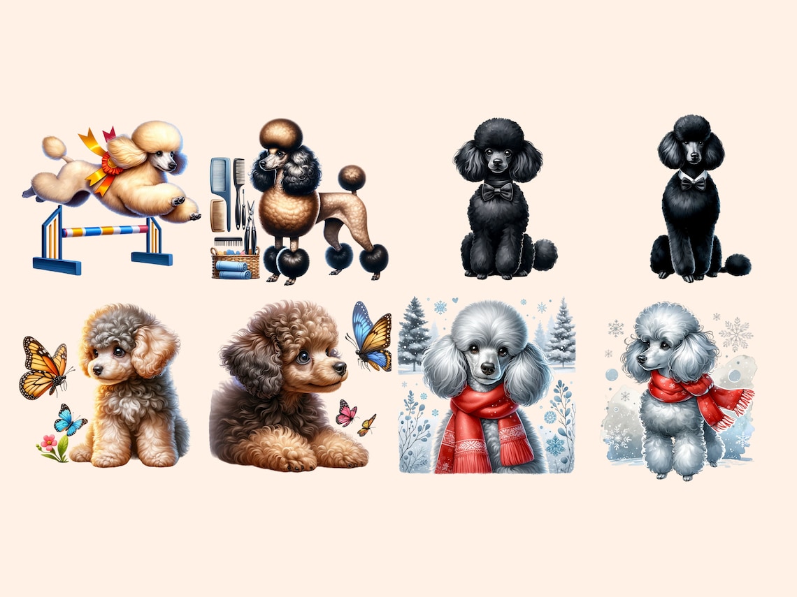 Poodles Clipart - 20 PNG Cute Poodle Graphics, Stylish Dog Printables ...