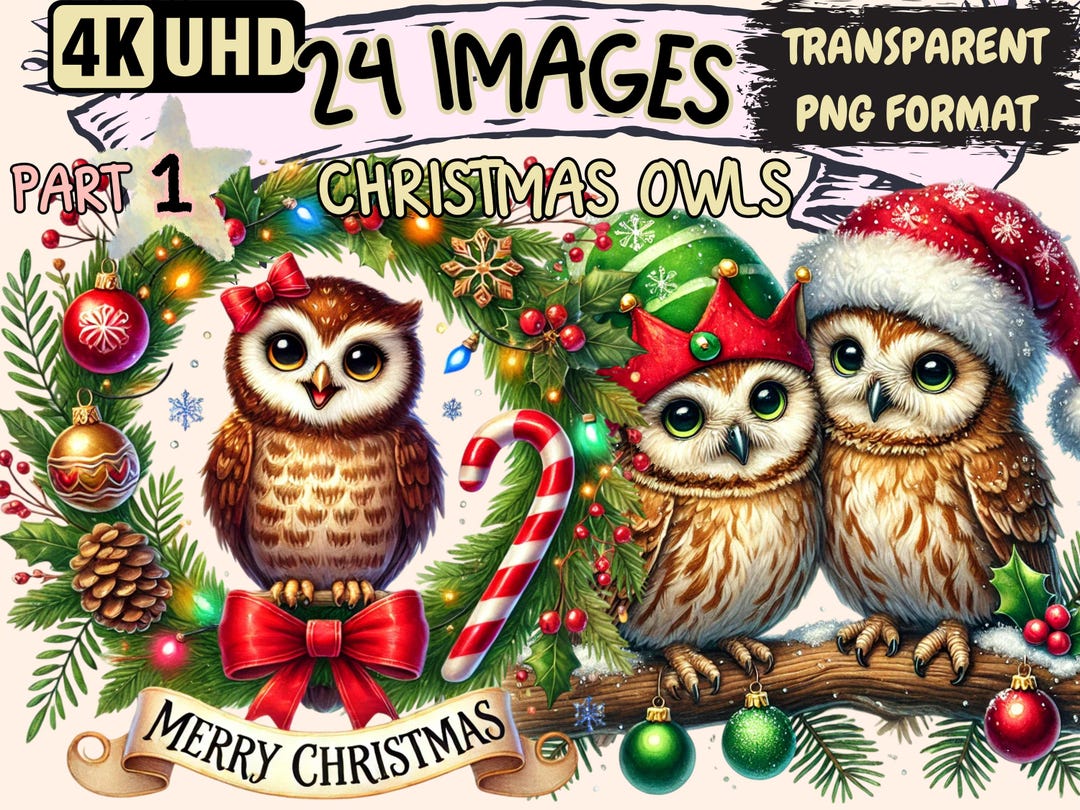 Christmas Owls Clipart - 24 PNG Festive Owl Illustrations, Holiday ...