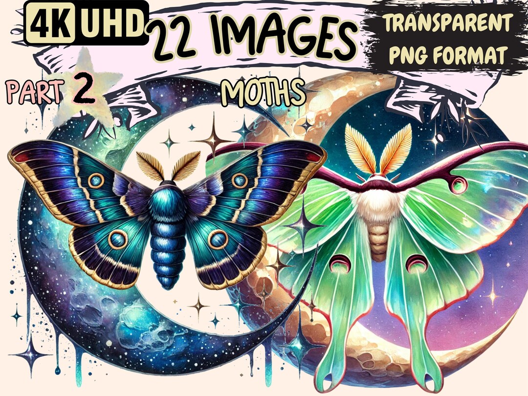 Moths (P2) Clipart - 22 PNG Delicate Moth Illustrations, Celestial Moth ...