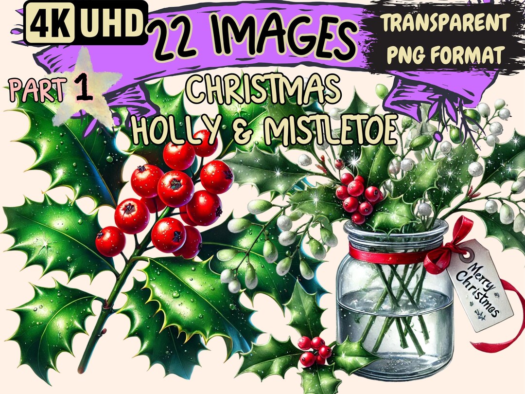 Christmas Holly and Mistletoe Clipart – 22 Festive PNG Illustrations ...