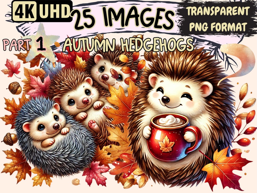 Autumn Hedgehog Clipart – 25 Fall PNG Illustrations (digital Download ...