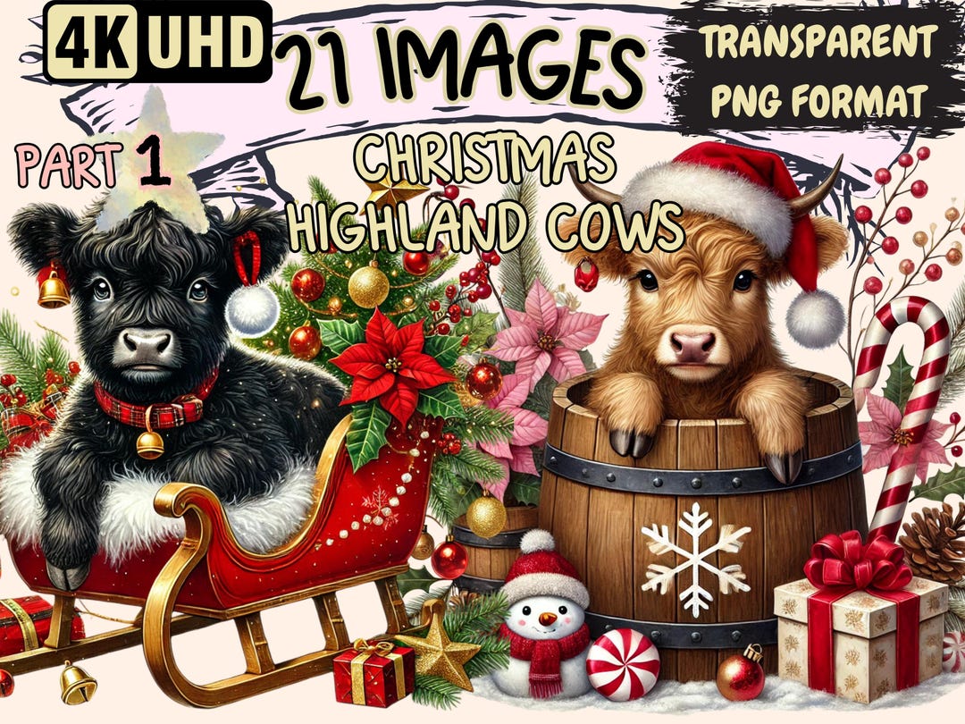 Christmas Highland Cows Clipart - 21 PNG Festive Cow Graphics, Holiday ...