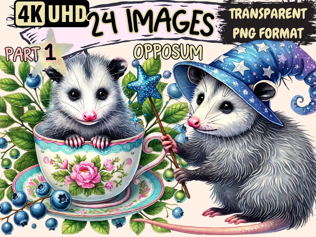 Opossum Clipart 24 PNG Cute Opossum Graphics, Adorable Animal ...