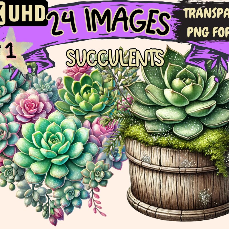 Succulent Clipart - Etsy