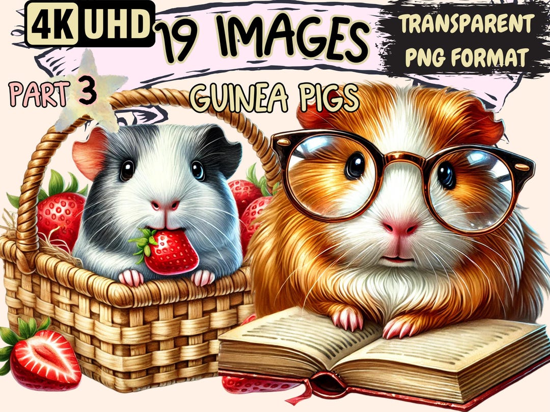 Guinea Pigs (P3) Clipart - 19 PNG Cute Guinea Pig Graphics, Adorable ...