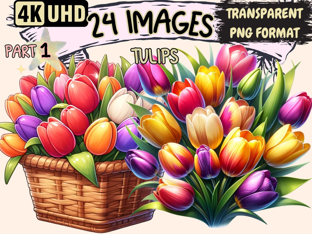 Tulips Clipart - 24 PNG Tulip Flowers Graphics, Beautiful Vibrant ...