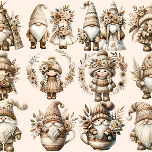 Boho Gnomes Clipart - 24 PNG Bohemian Flowers Cute Gnome Graphics ...