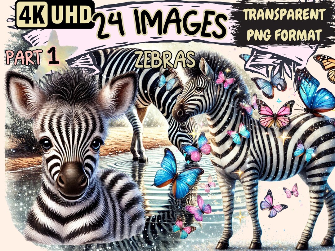Zebra Clipart – Striped Animal PNG Illustrations, Safari Wildlife Art ...