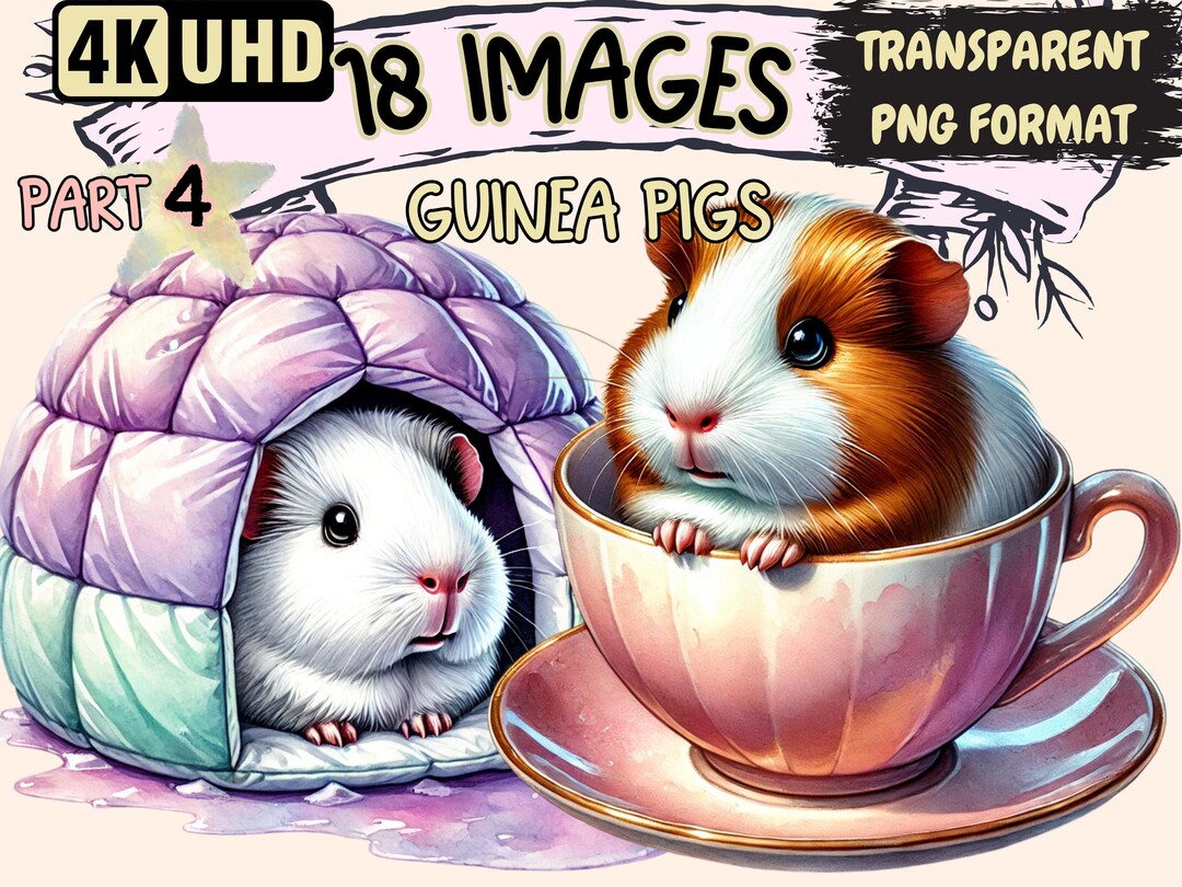 Guinea Pigs (P4) Clipart - 18 PNG Cute Guinea Pig Graphics, Adorable ...