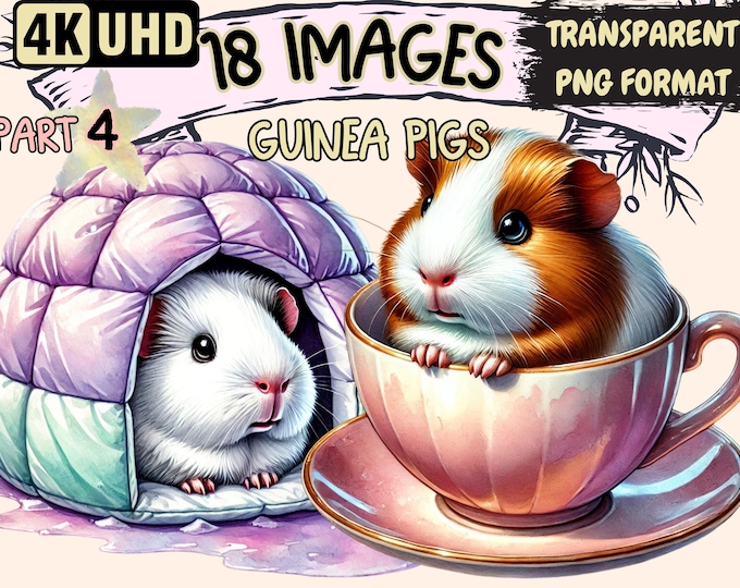 25 Watercolor Guinea Pigs Clipart PNG, Guinea Pigs Png, Flower Guinea ...