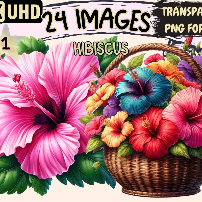 Watercolor Hibiscus - Etsy