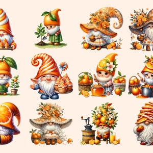 Orange Fruit Gnomes Clipart - 30 PNG Citrus Gnome Graphics, Colorful ...