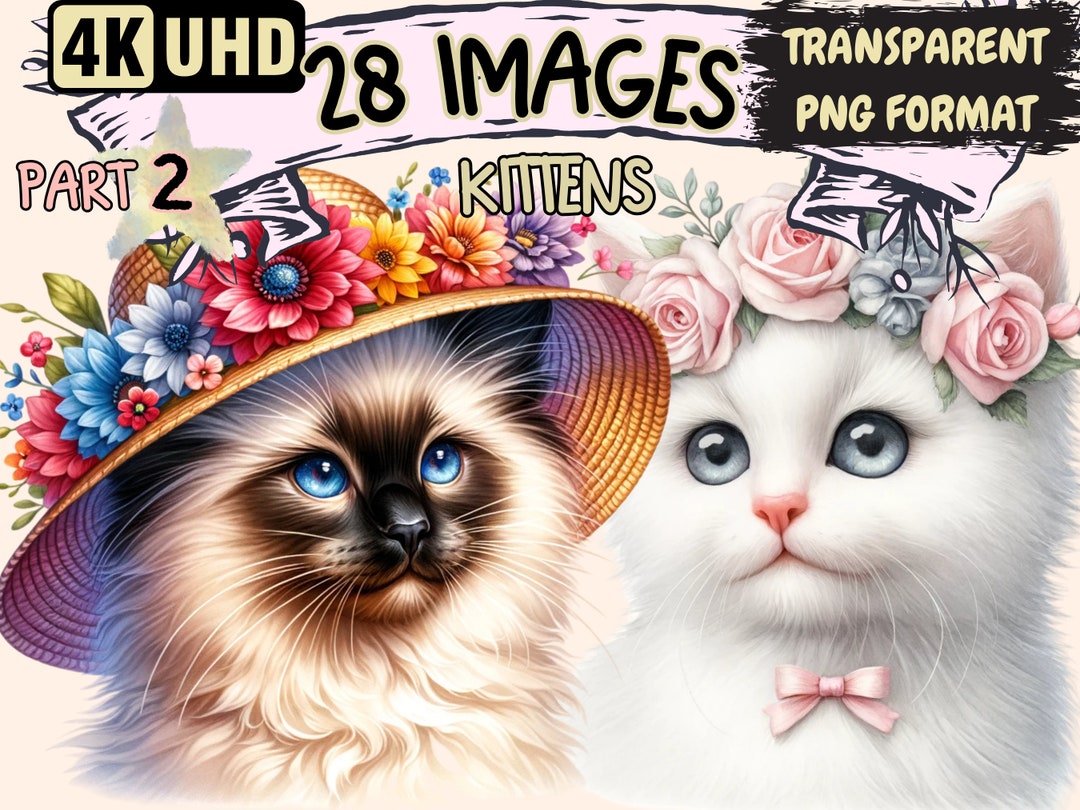 Adorable Kitten Clipart – 28 PNG Graphics, Commercial Use (digital ...
