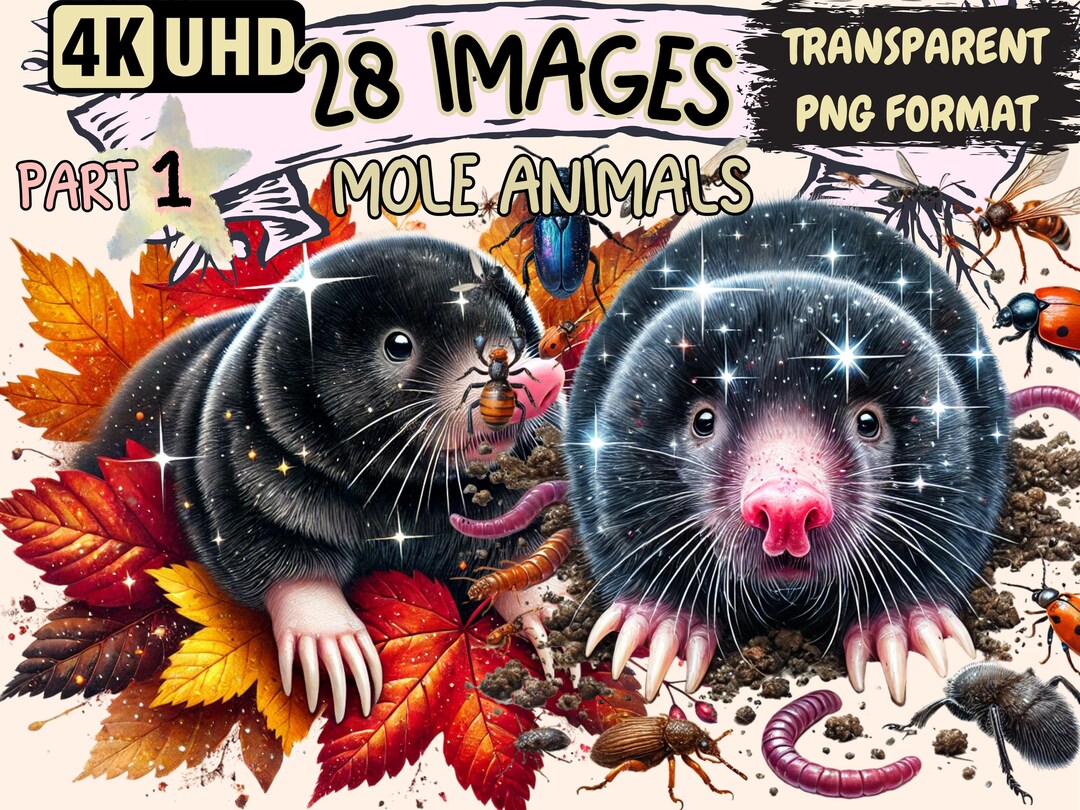Mole Animals Clipart - 28 PNG Mole Illustrations, Underground Creature ...