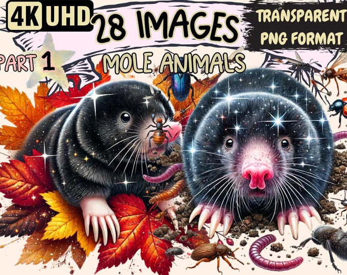 15 PNG Back to School Mole, Student Animal Preschool Teacher Clipart ...