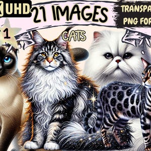 Cats Clipart - 21 PNG Cute Sleek Feline Illustrations, Elegant Kitty ...