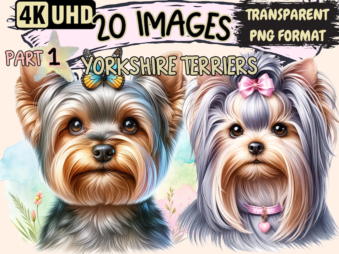 Yorkshire Terrier Clipart – 20 PNG Graphics, Commercial Use (digital ...