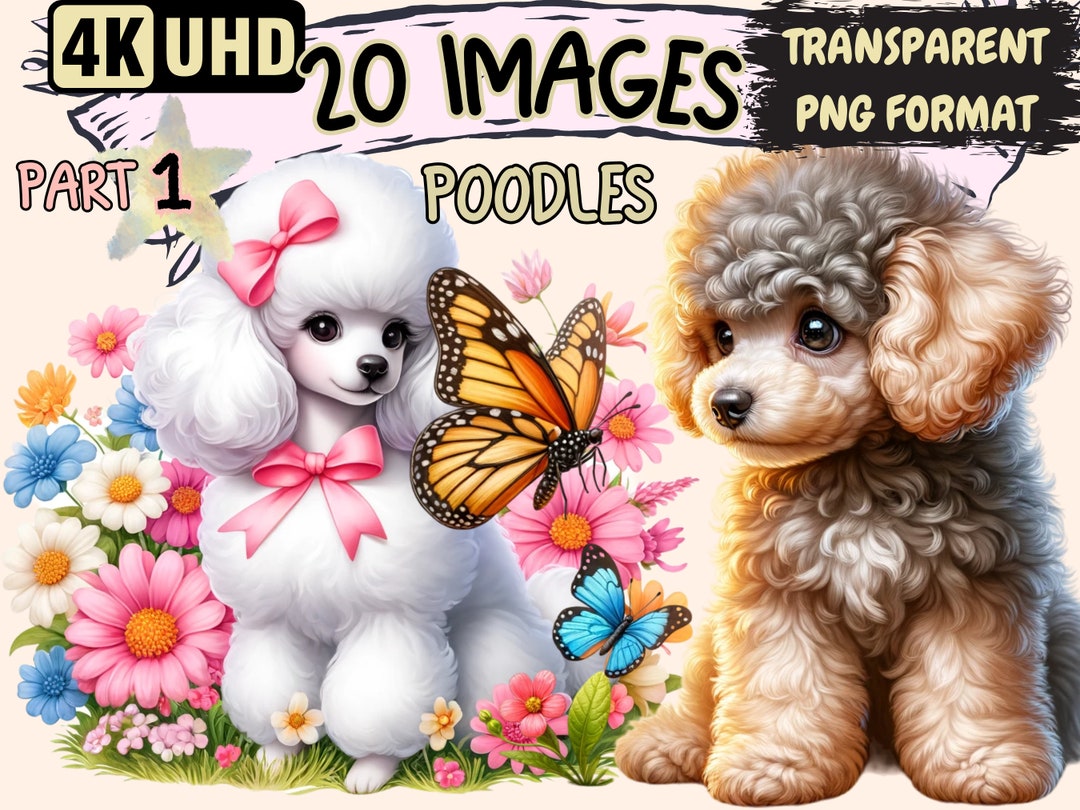 Poodles Clipart - 20 PNG Cute Poodle Graphics, Stylish Dog Printables ...